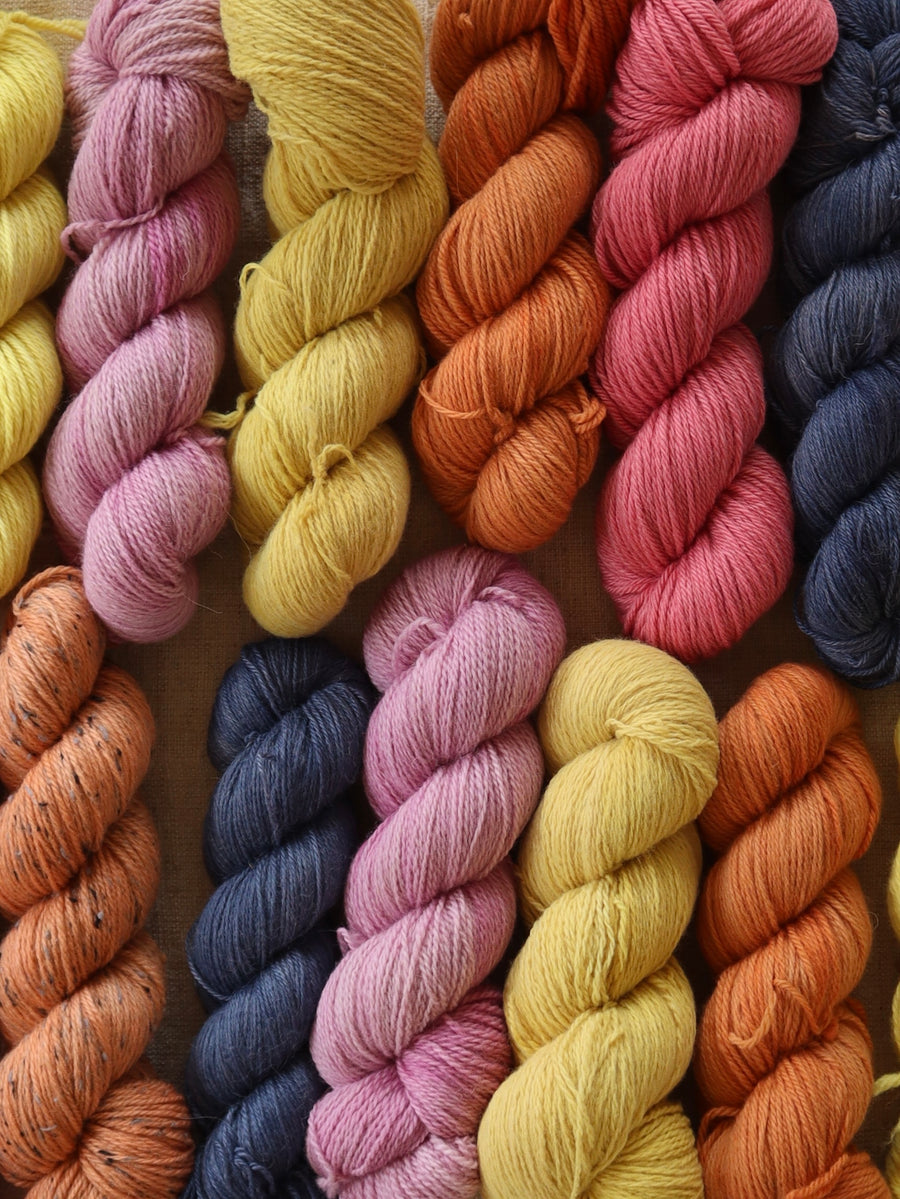 Big Little Yarn Co.
